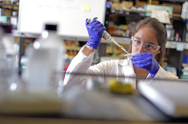 Summer Research Opportunities | WashU