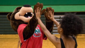 Athletics and Recreation | WashU